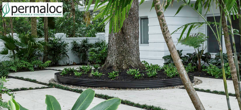 Intro to Edging - Lines, Edges and Eternity - Course Details