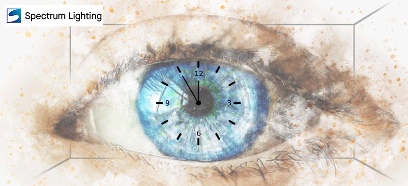 Circadian-Effective LED Lighting for Day-Active People in Interior ...
